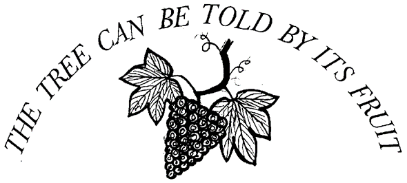 8th Sunday in Ordinary Time (C) - Christ The King & Holy Cross