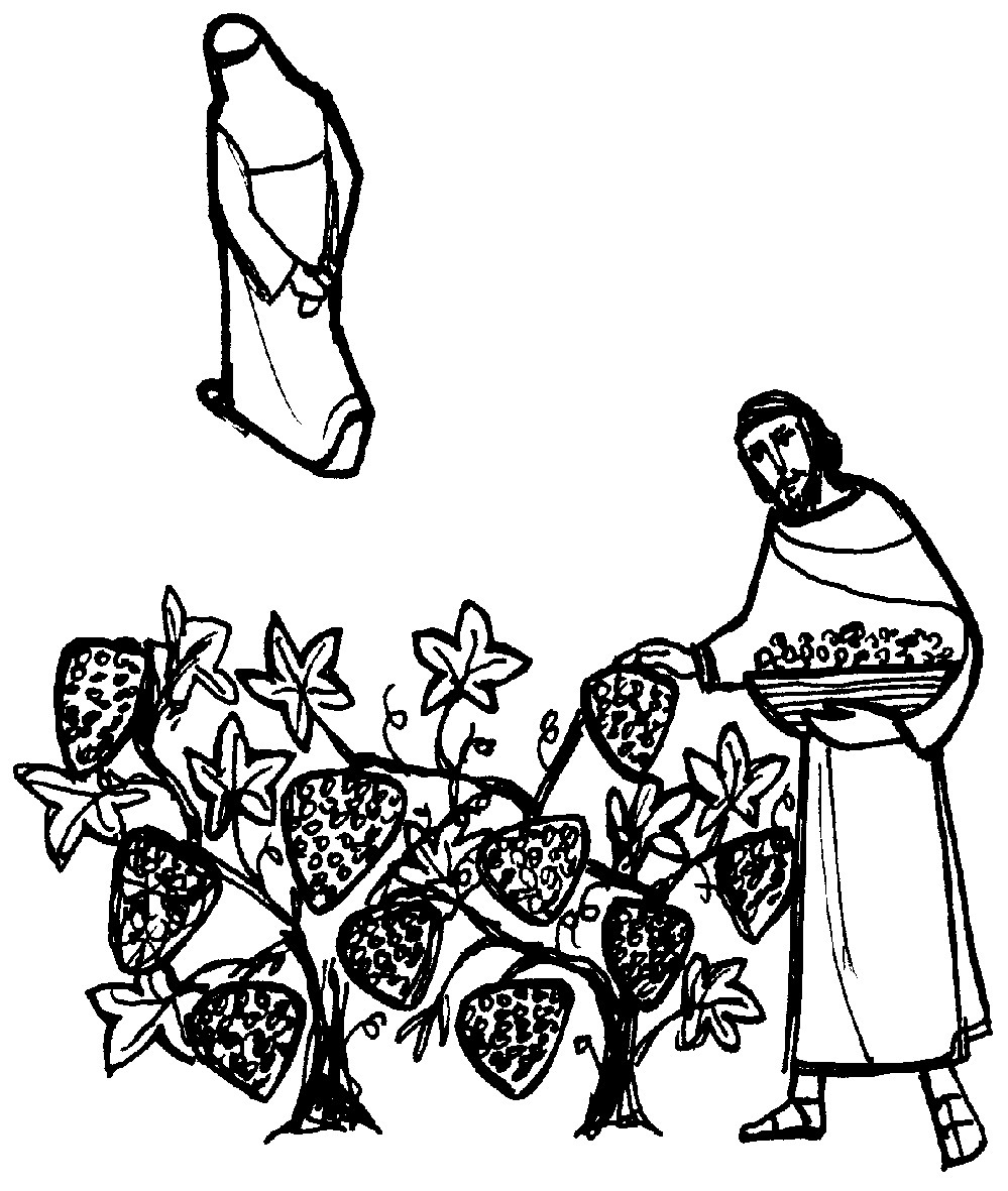 21st Sunday in Ordinary Time (C) - Christ The King & Holy Cross