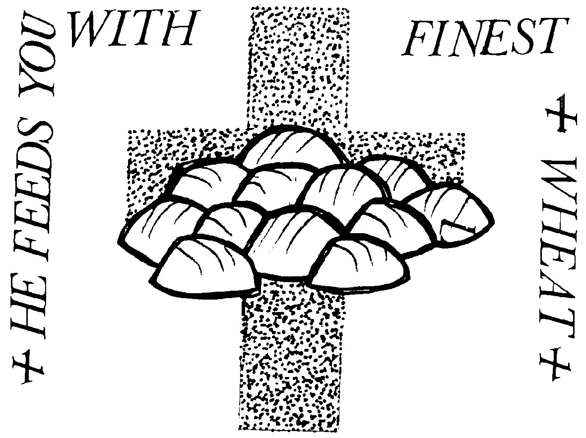 Tenth Sunday of Ordinary Time (B) – Christ The King & Holy Cross